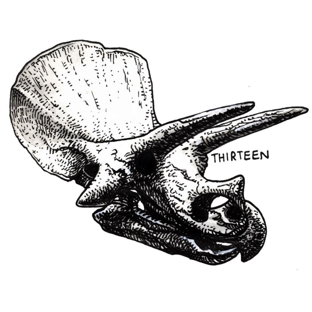 SIO 2024 - Bloc 2 - SISR - Adoutte